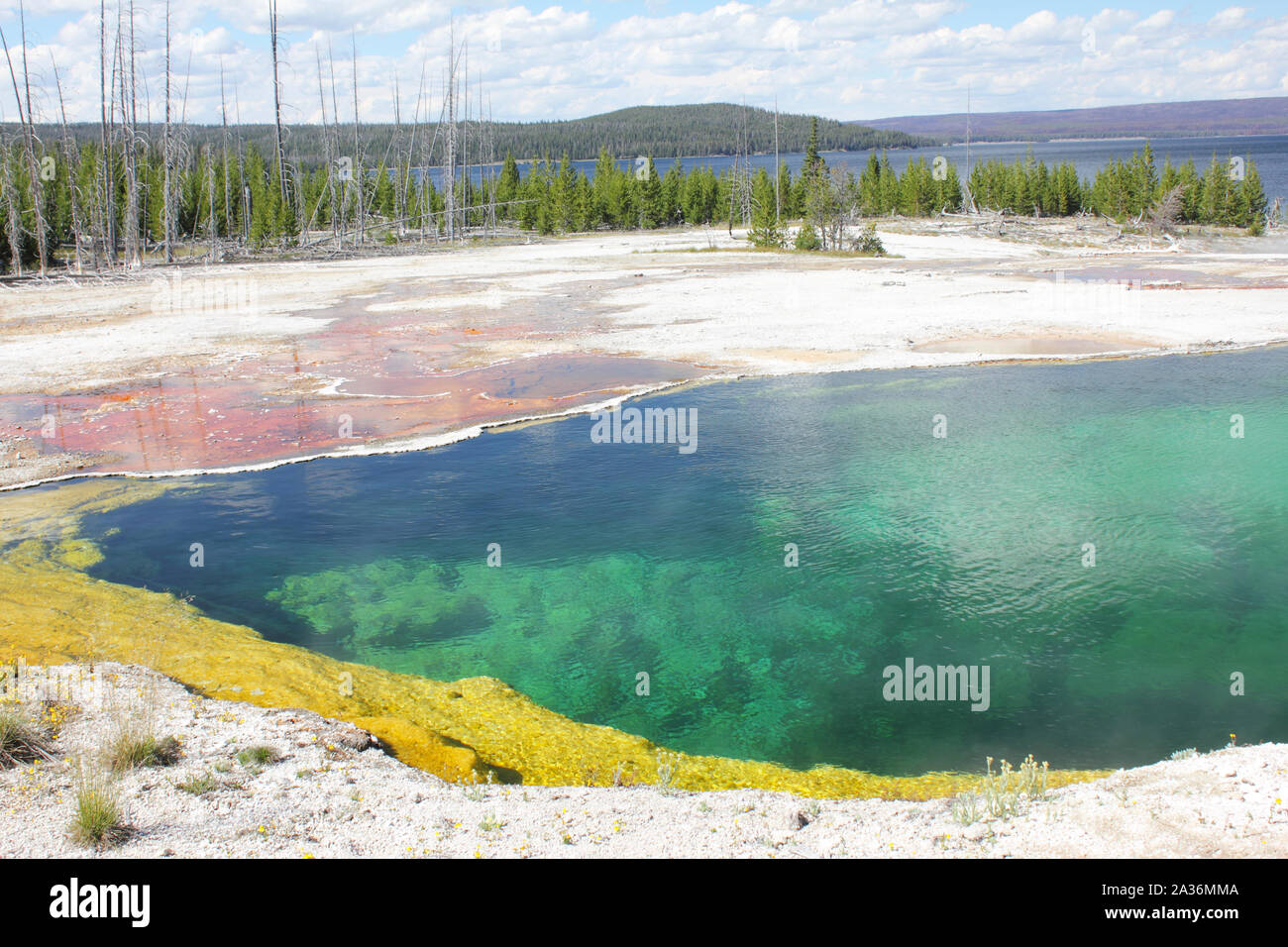 Detail of hot spring bacterial mat and deep blue boiling water ...
