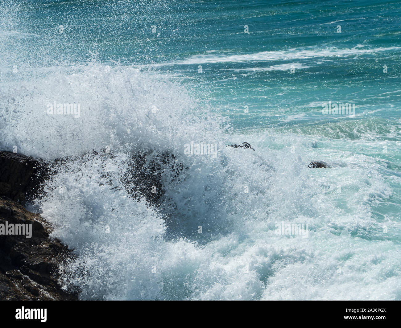 Waves and salt water, a powerful sea wave breaking, smashing and ...