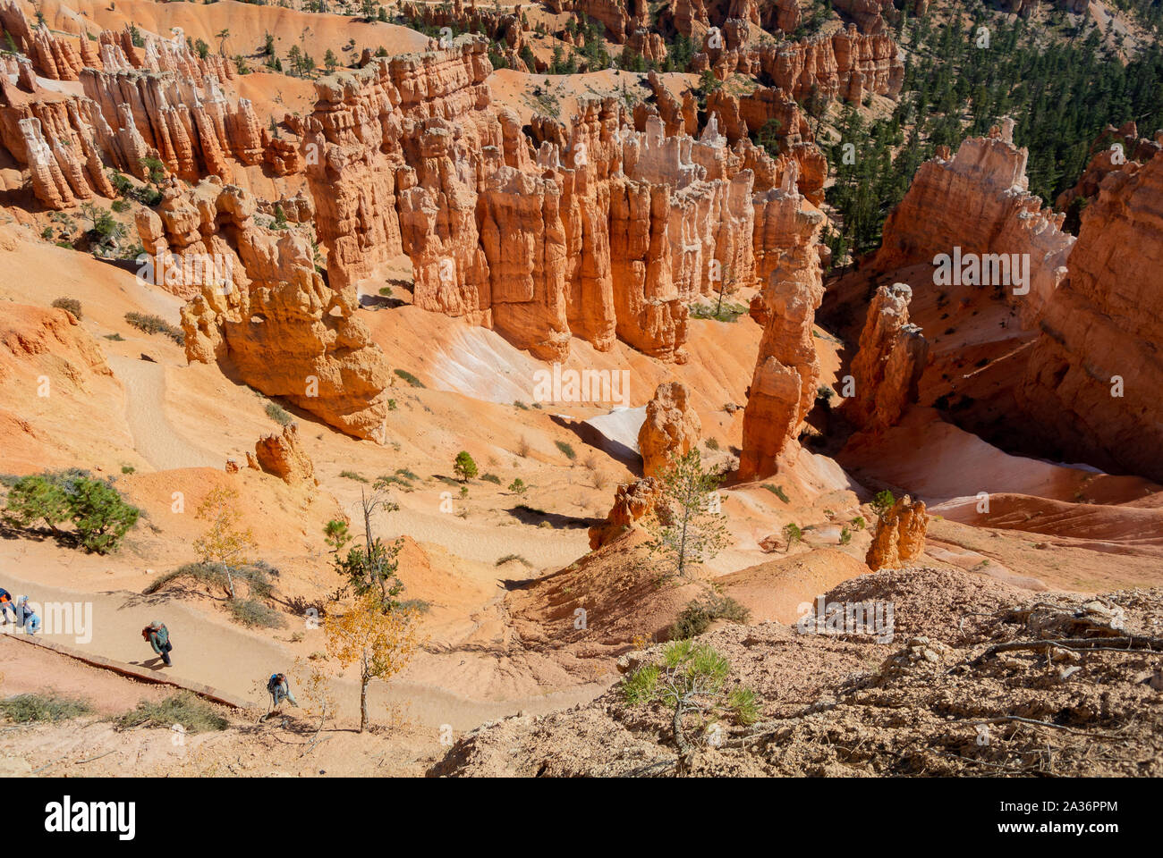Aerial view with hoodoos along Navajo loop trail in BRYCE CANYON ...