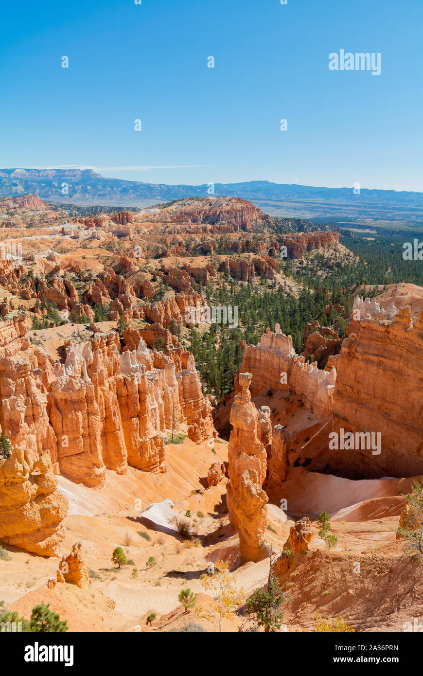 Navajo loop trail hi-res stock photography and images - Alamy