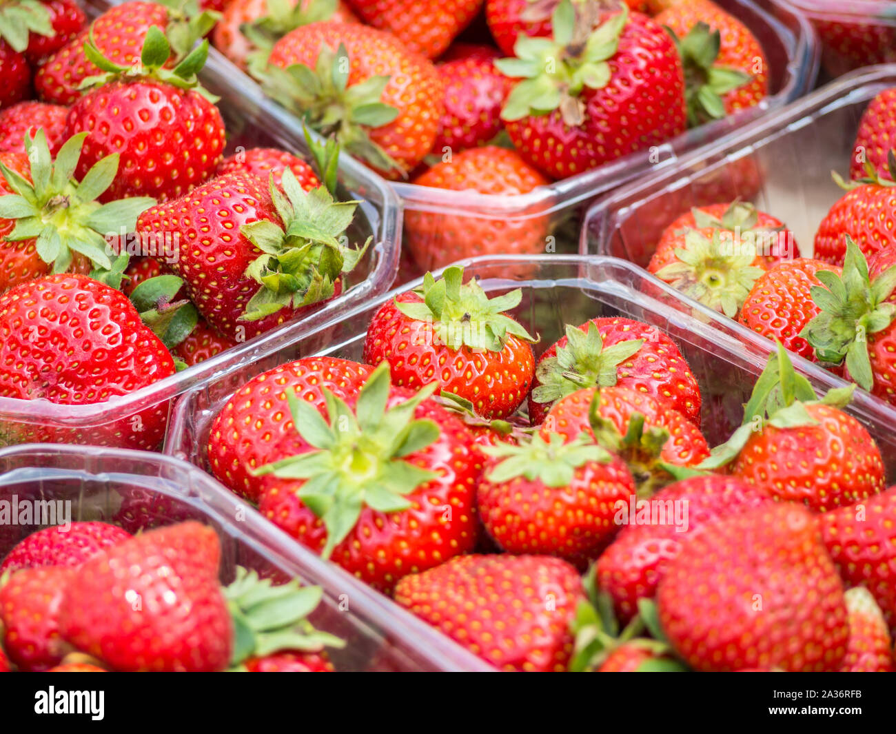 Cup of strawberries Stock Photo - Alamy