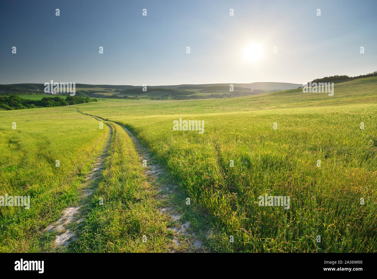 Road lane and deep blue sky. Nature design Stock Photo - Alamy