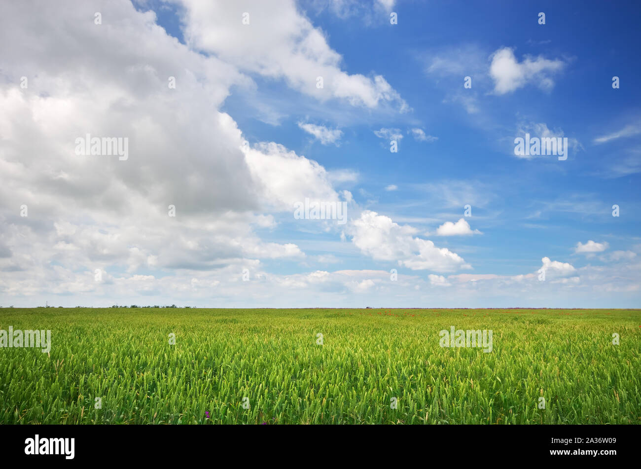 Lawn composition hi-res stock photography and images - Alamy