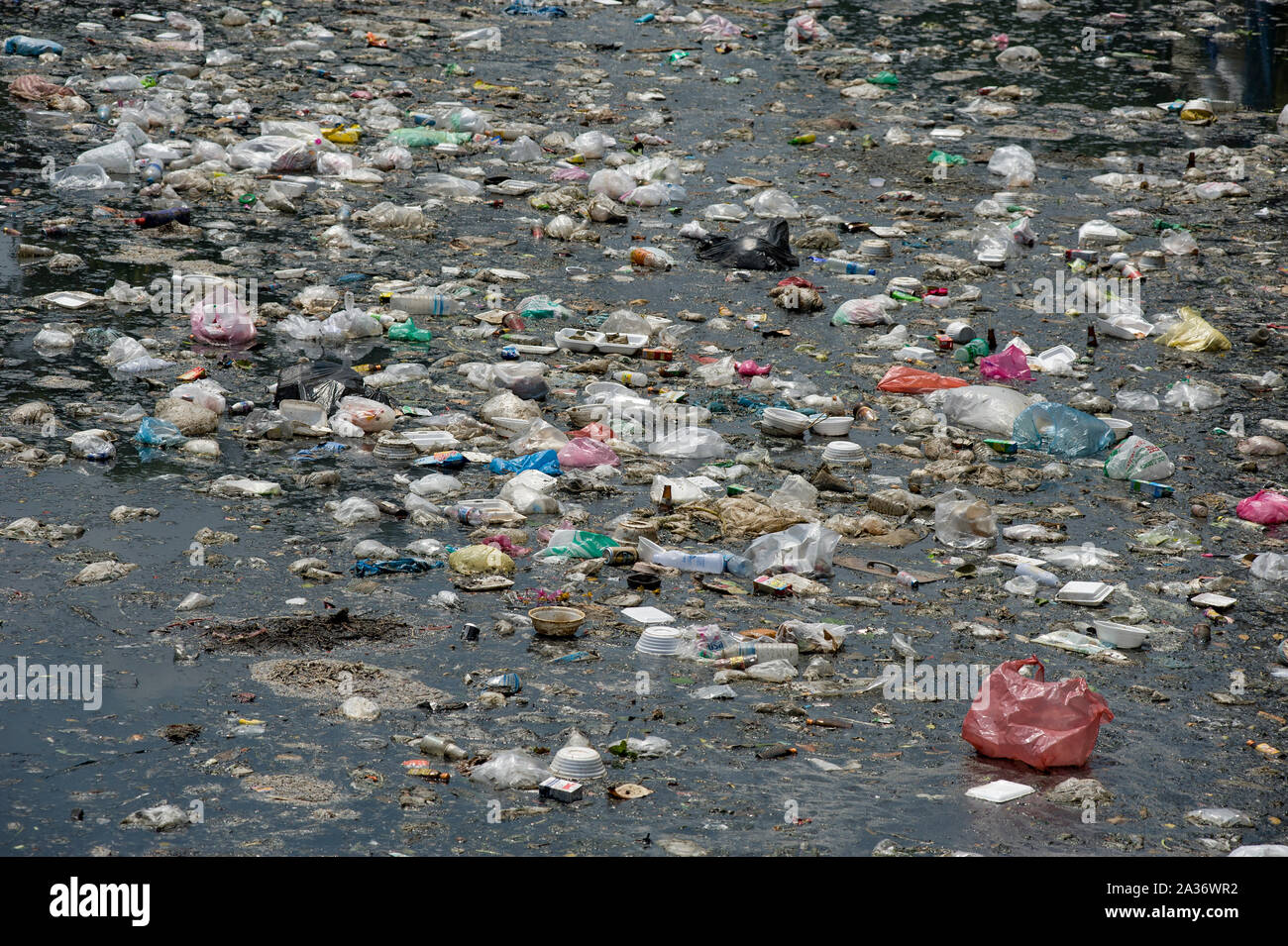 Waste in the water of Bangkok river Stock Photo - Alamy