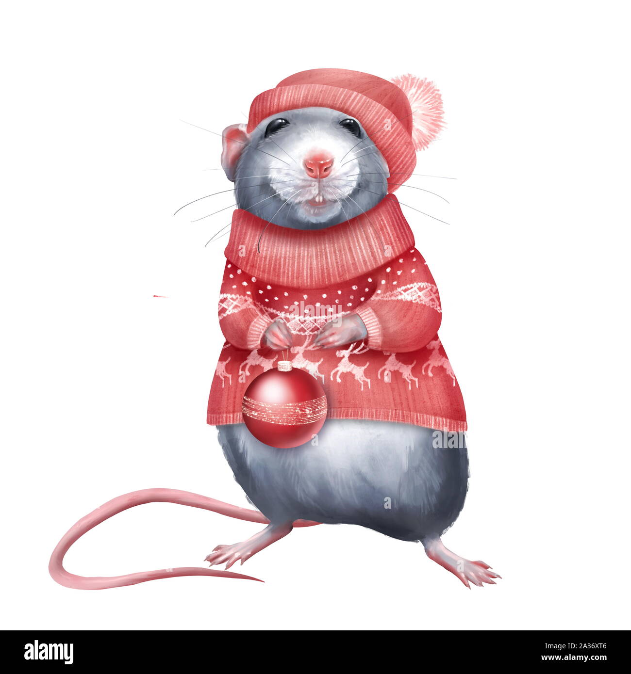 Red Rat High Resolution Stock Photography and Images - Alamy