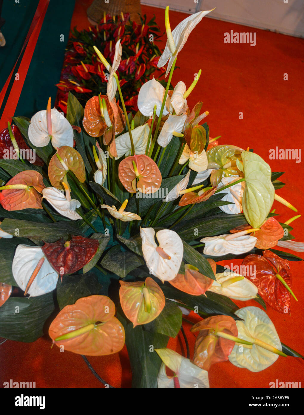 A bunch of mix flower into pot made out of wooden Stock Photo - Alamy