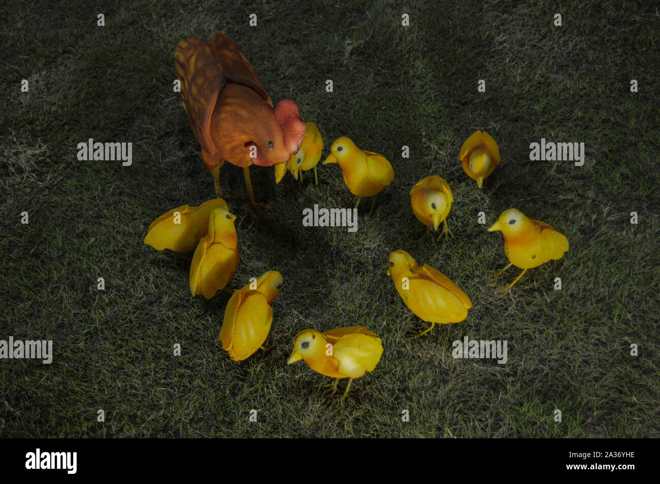 Love Hen High Resolution Stock Photography and Images - Alamy