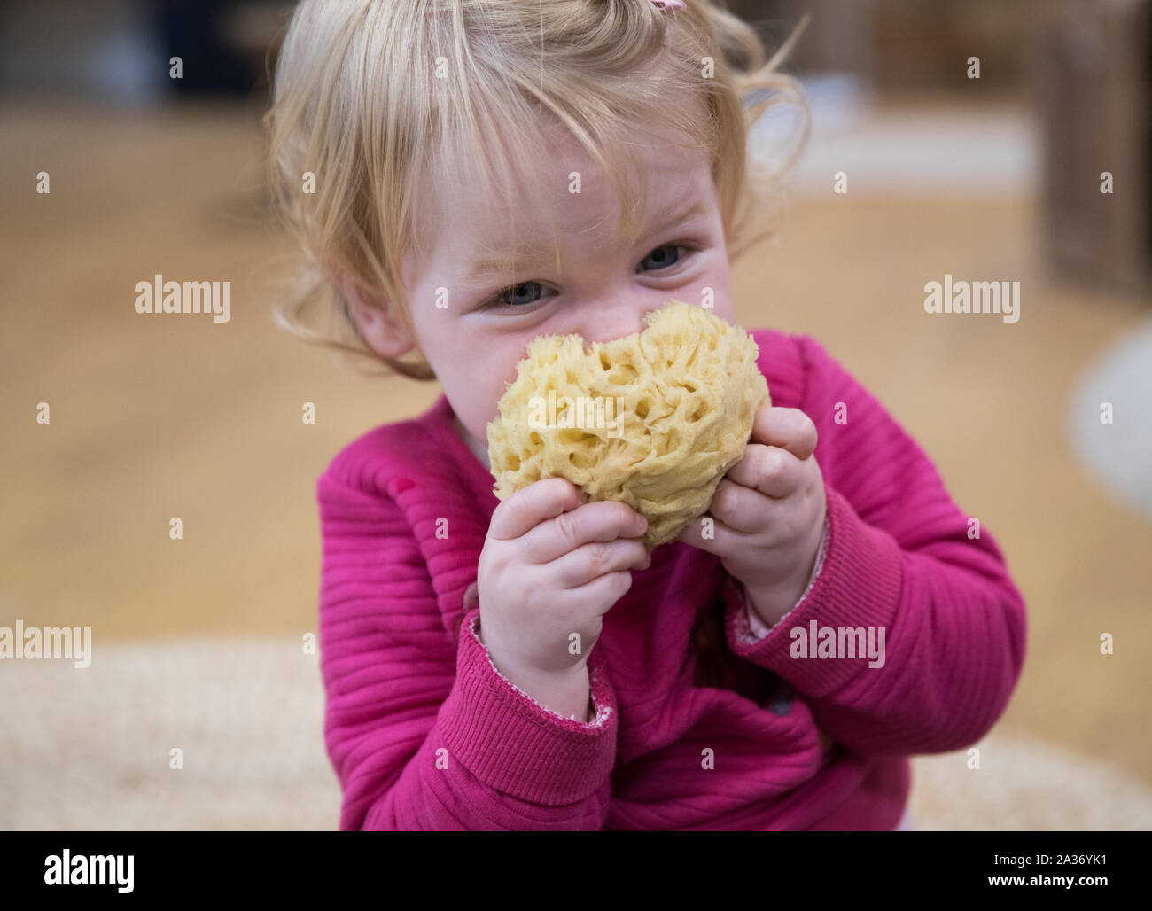 Bite box at the tops day nursery in corfe mullan hi-res stock ...