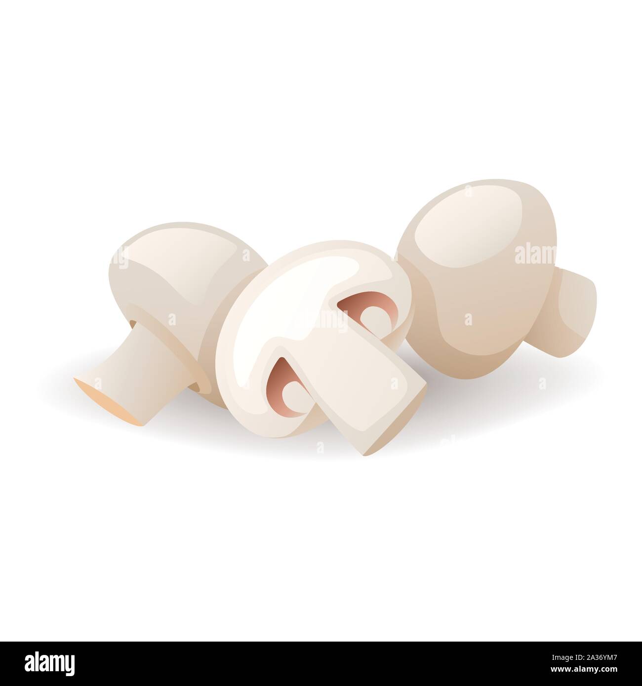 Three mushrooms, fresh natural champignon icon isolated on white ...