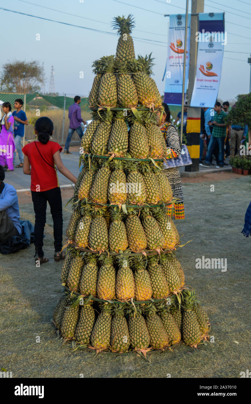 The pineapple tower which is standing on field Stock Photo - Alamy