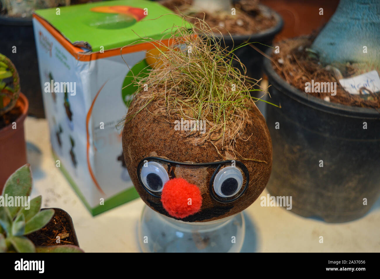 Plant with face hi-res stock photography and images - Alamy