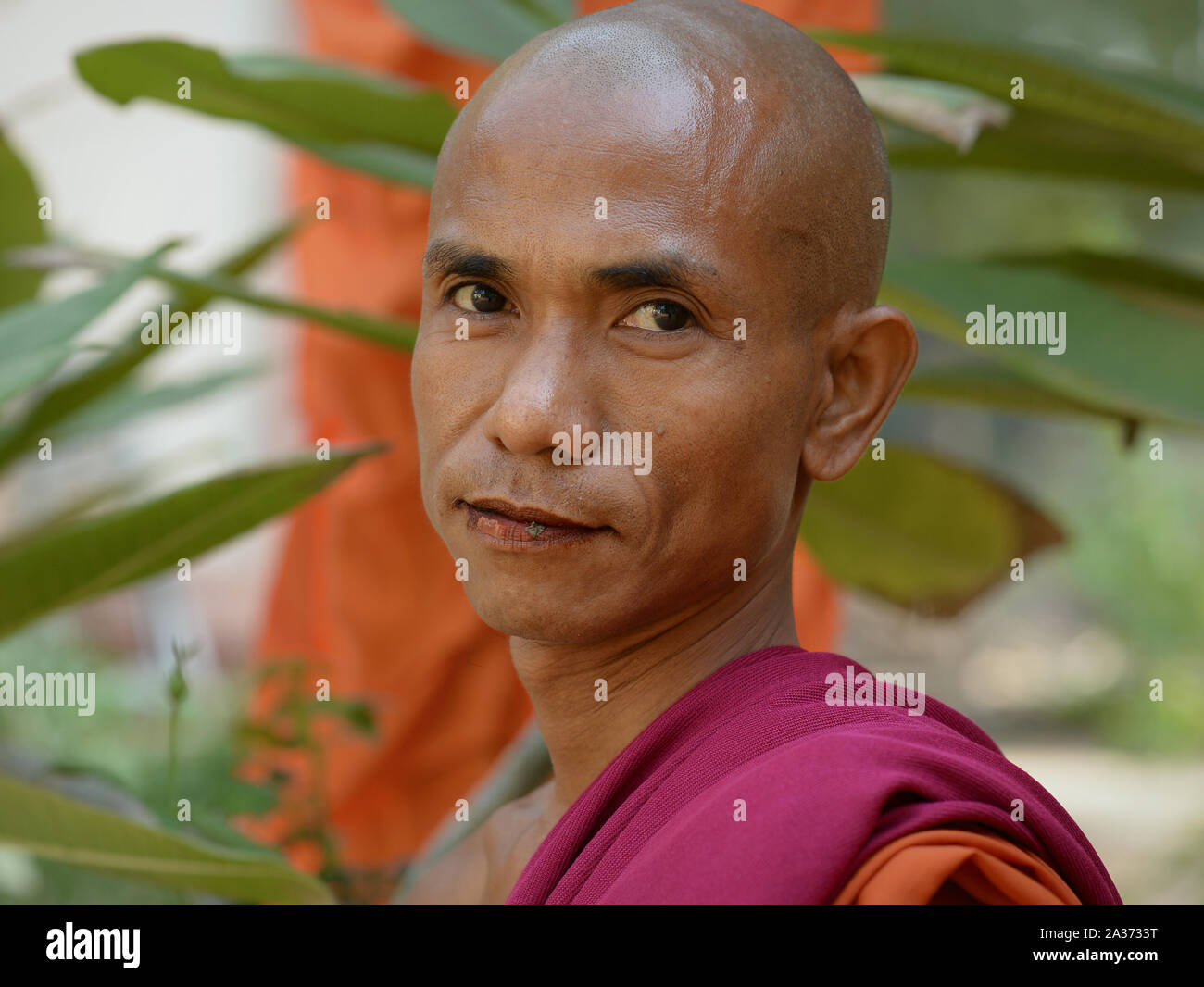 Handsome Burmese Buddhist monk with beautiful eyes and tell-tale traces ...