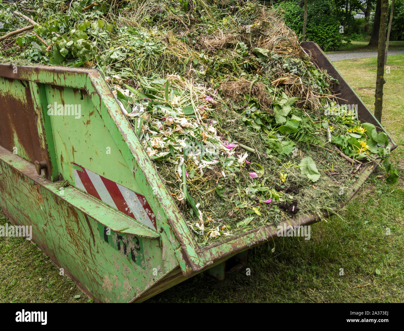 Green cut in the container Stock Photo - Alamy