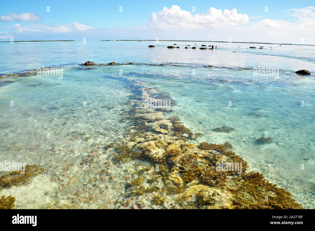 Ancient traditional fish trap designed to catch bonefish (Albula vulpes ...