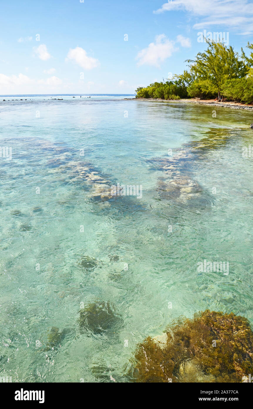 Ancient traditional fish trap designed to catch bonefish (Albula vulpes ...