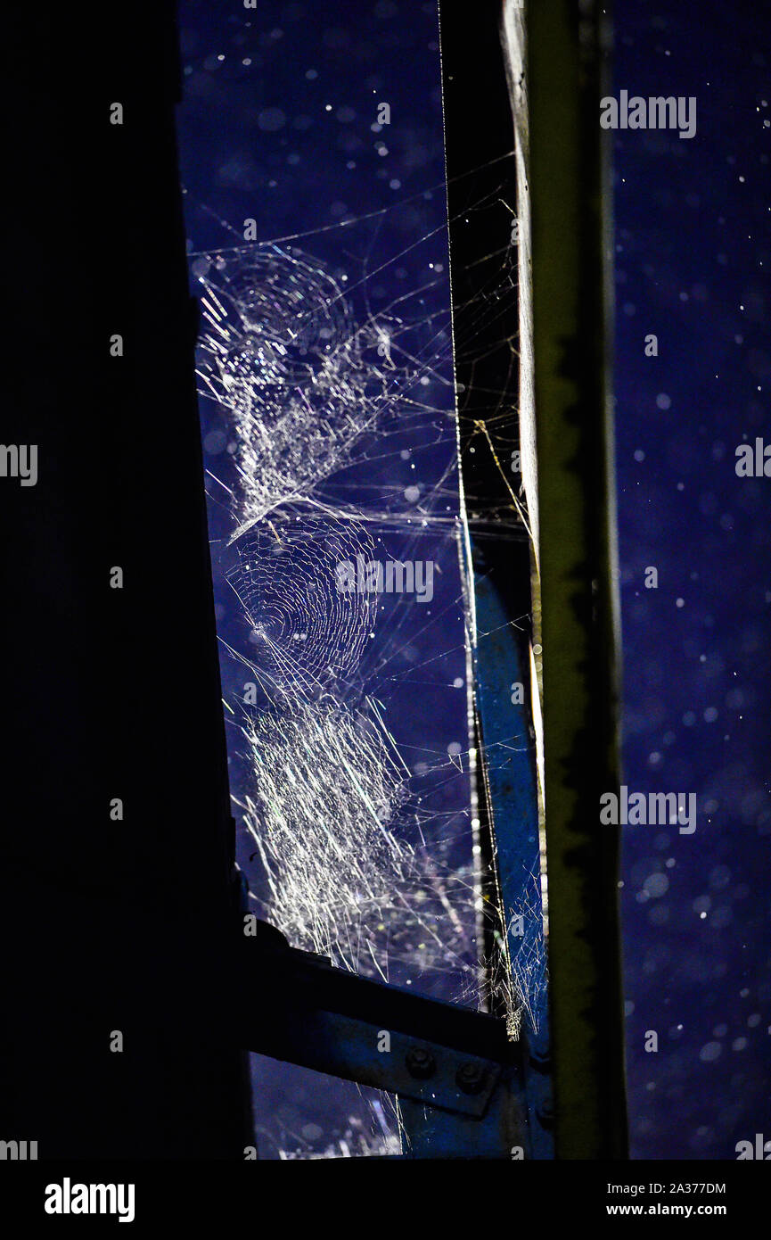 Spider web and cobwebs and rain on stormy night in rafters UK Stock ...