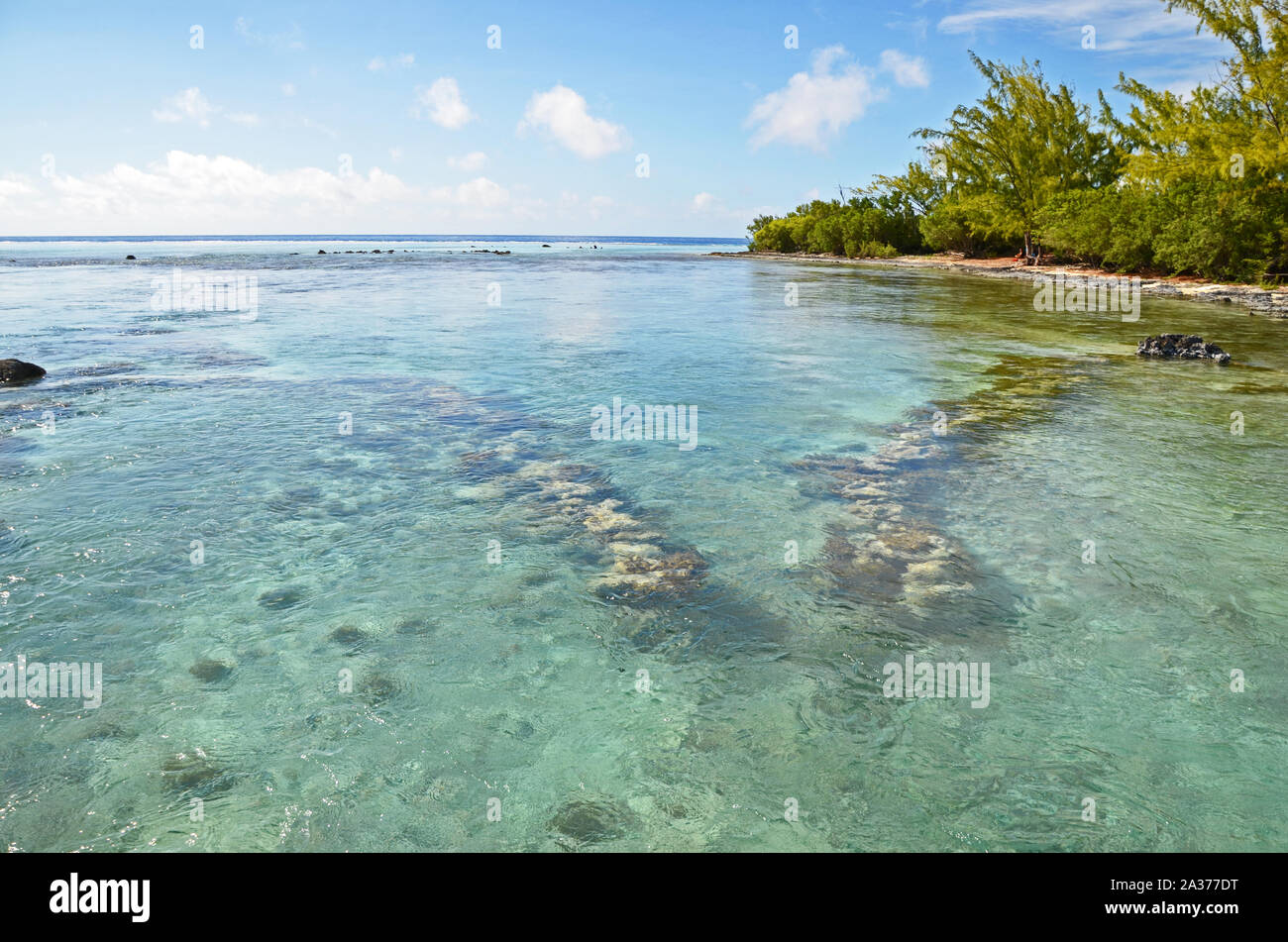 Ancient traditional fish trap designed to catch bonefish (Albula vulpes ...