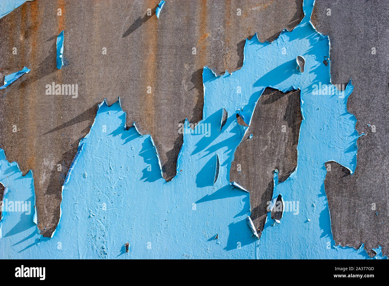 Abstract background. Rusty metal surface with old peeled blue paint ...