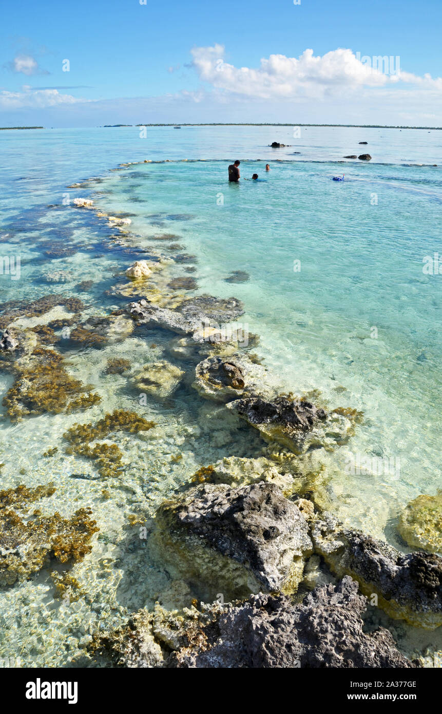 Ancient traditional fish trap designed to catch bonefish (Albula vulpes ...