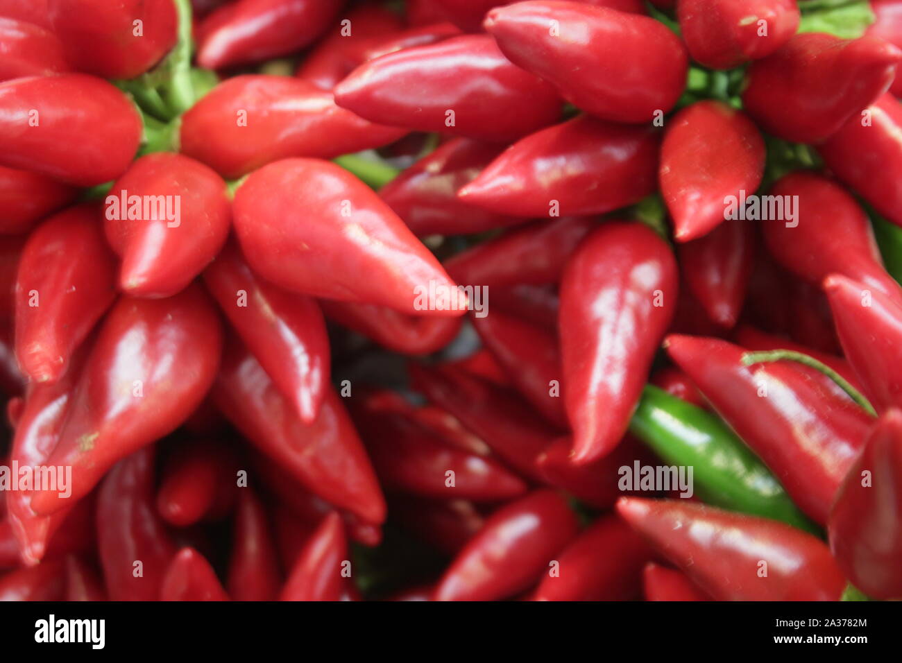 Red chili image hi-res stock photography and images - Alamy
