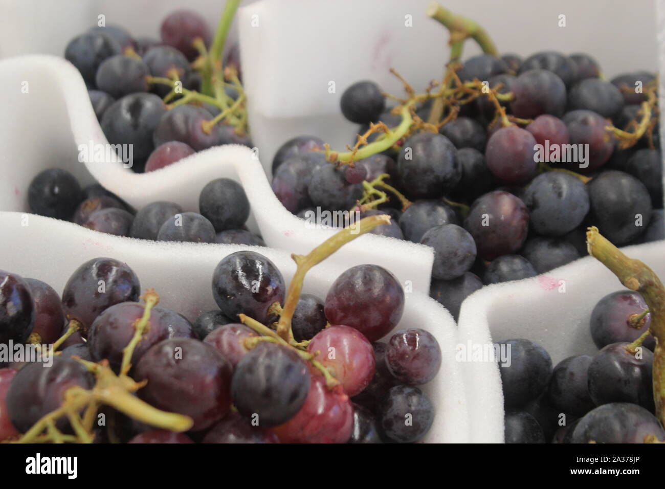 Italian Fresh fruits Grapes image Stock Photo - Alamy