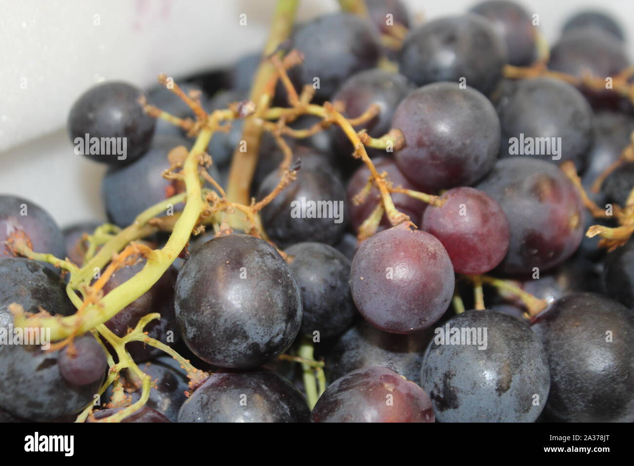 Italian Fresh fruits Grapes image Stock Photo - Alamy