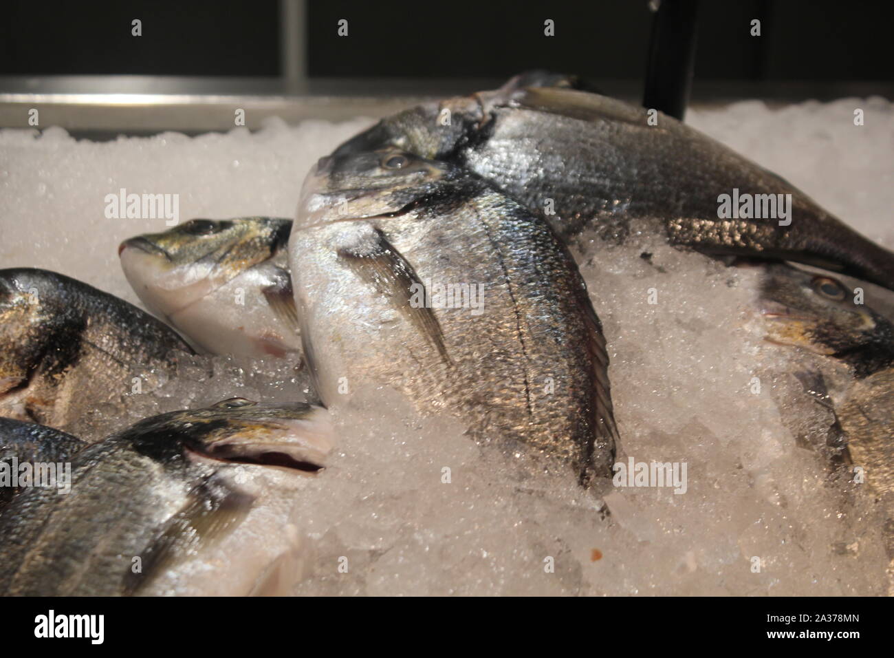 Italian fresh sea fish with ice image Stock Photo - Alamy