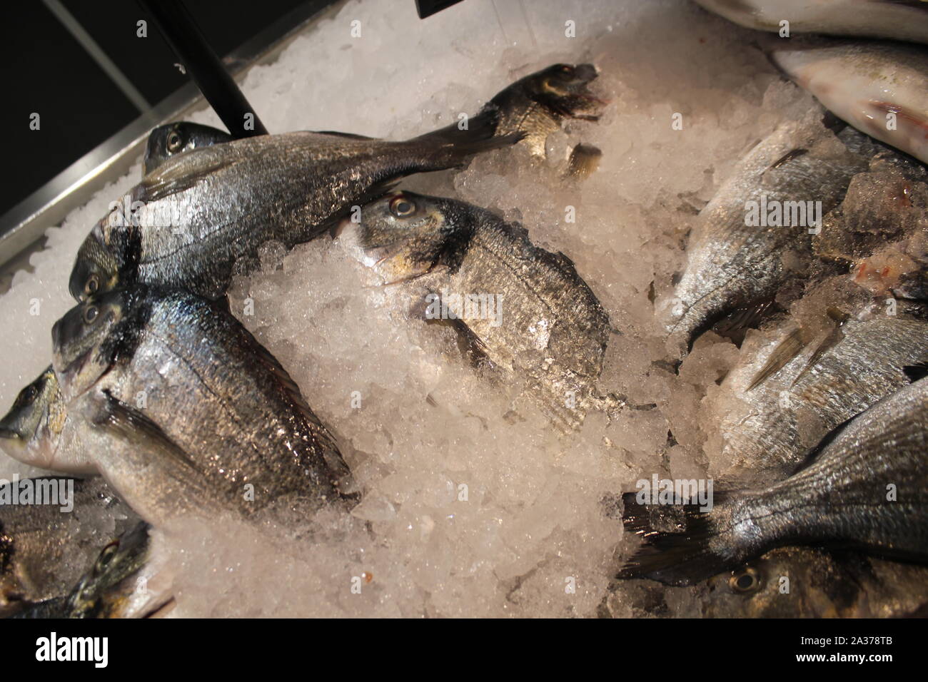 Italian fresh sea fish with ice image Stock Photo - Alamy
