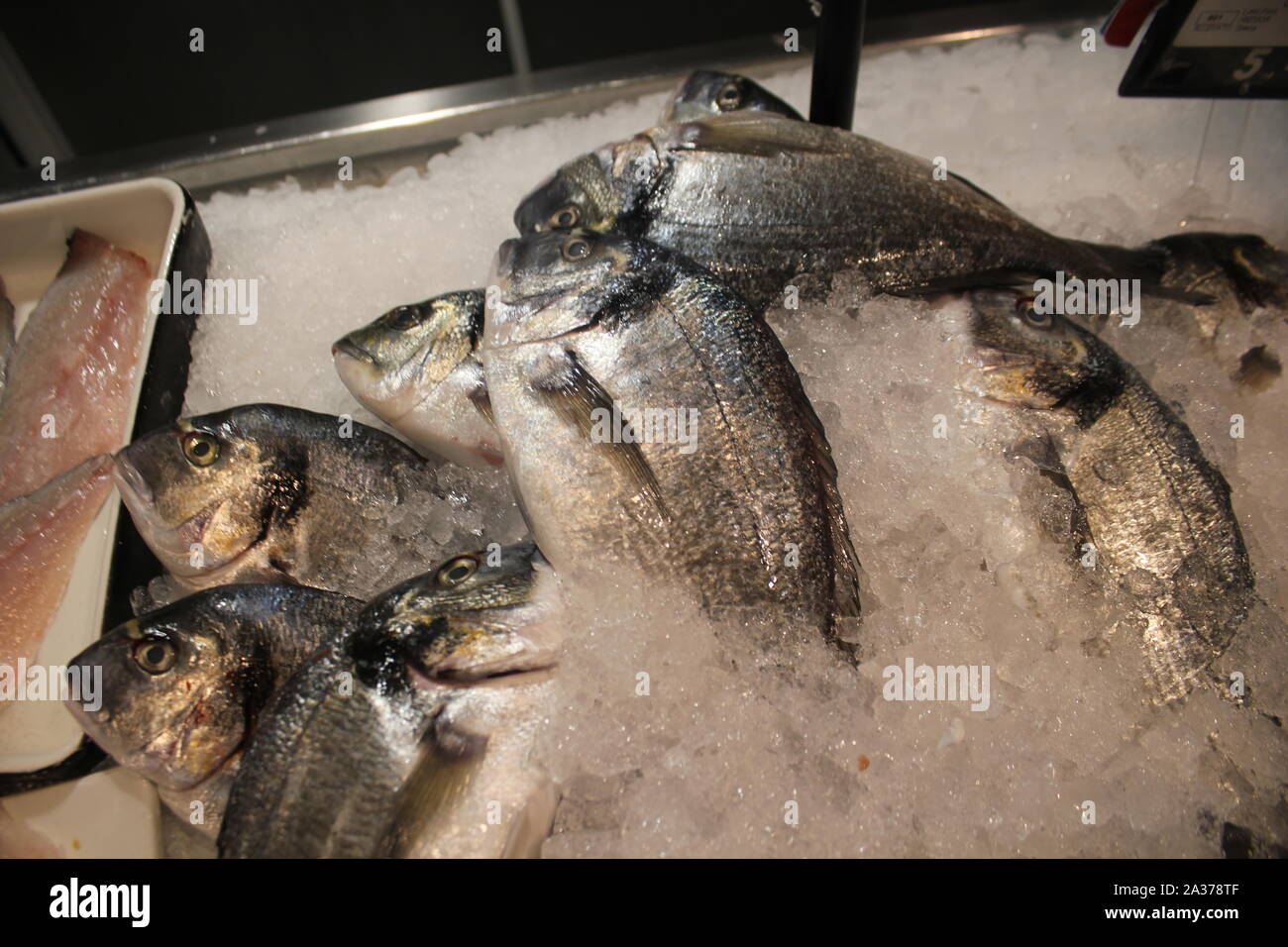 Italian fresh sea fish with ice image Stock Photo - Alamy