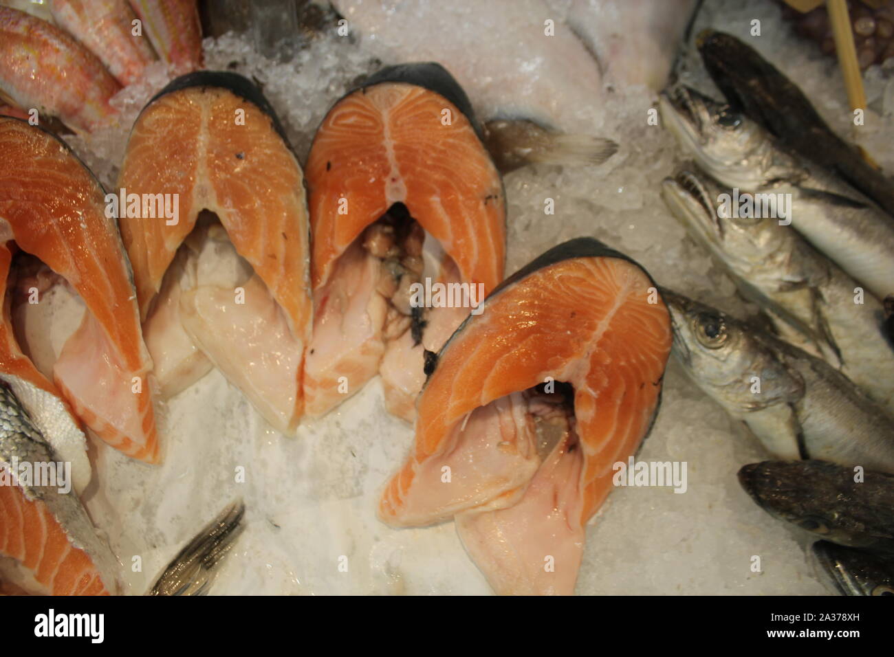 Italian fresh sea fish with ice image Stock Photo - Alamy