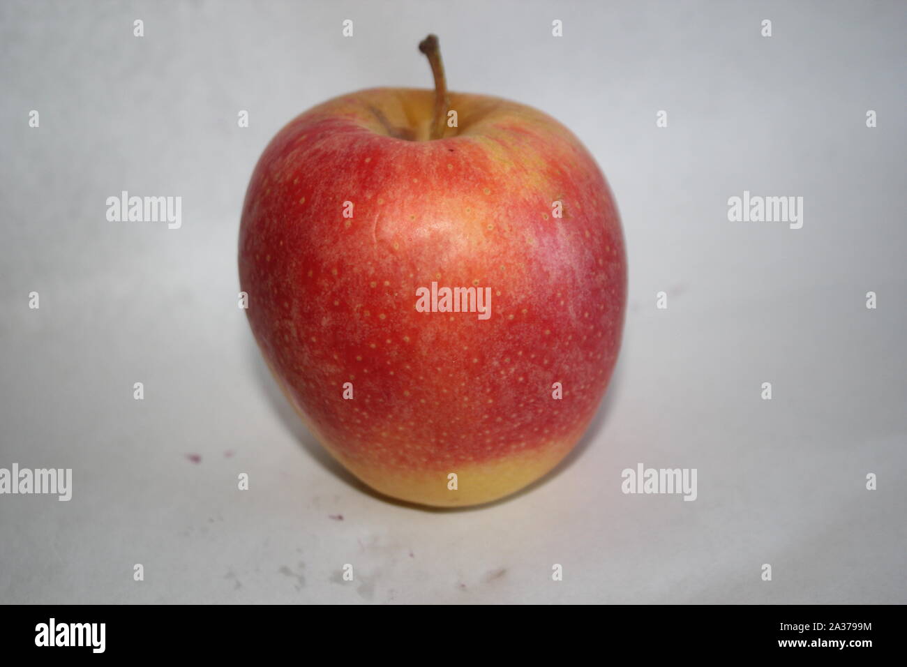 Close up apple seed hi-res stock photography and images - Alamy