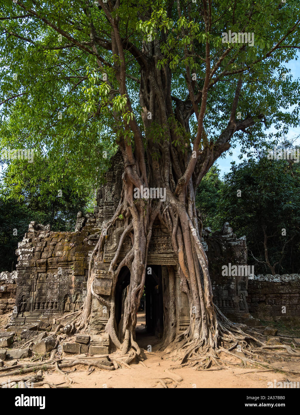 Ancient ruins of Ta Som temple in Angkor Wat complex, Cambodia. Stone ...
