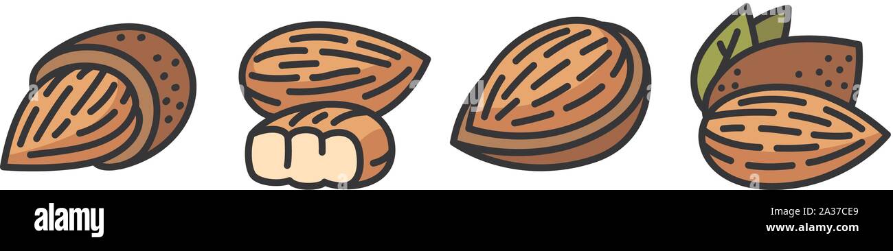 Almond icons set. Outline set of almond vector icons for web design ...