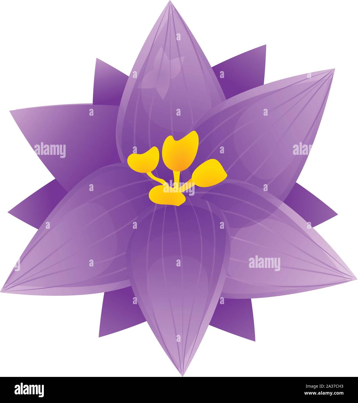 Violet crocus icon. Cartoon of violet crocus vector icon for web design ...
