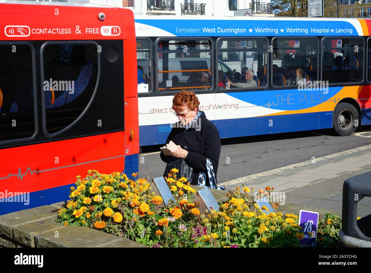 Elderly woman on bus hi-res stock photography and images - Alamy