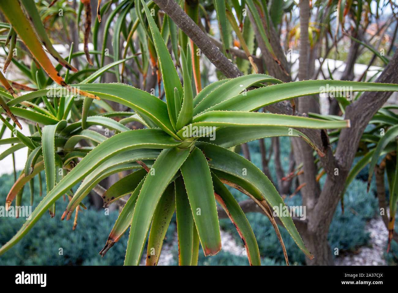 Getty center map hi-res stock photography and images - Alamy