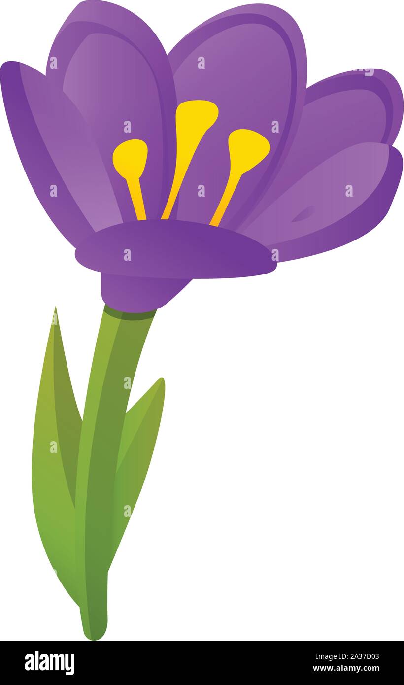 Safran saffron crocus sativus Stock Vector Images - Alamy