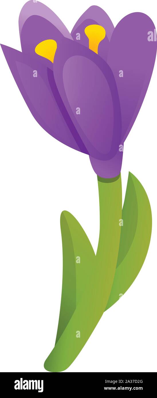 Blossom crocus icon. Cartoon of blossom crocus vector icon for web ...
