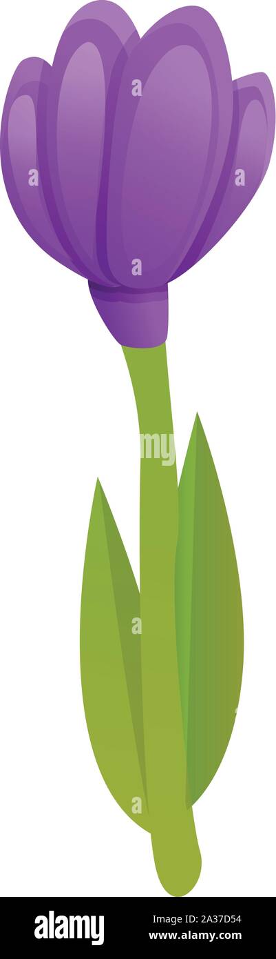 Crocus flora icon. Cartoon of crocus flora vector icon for web design ...
