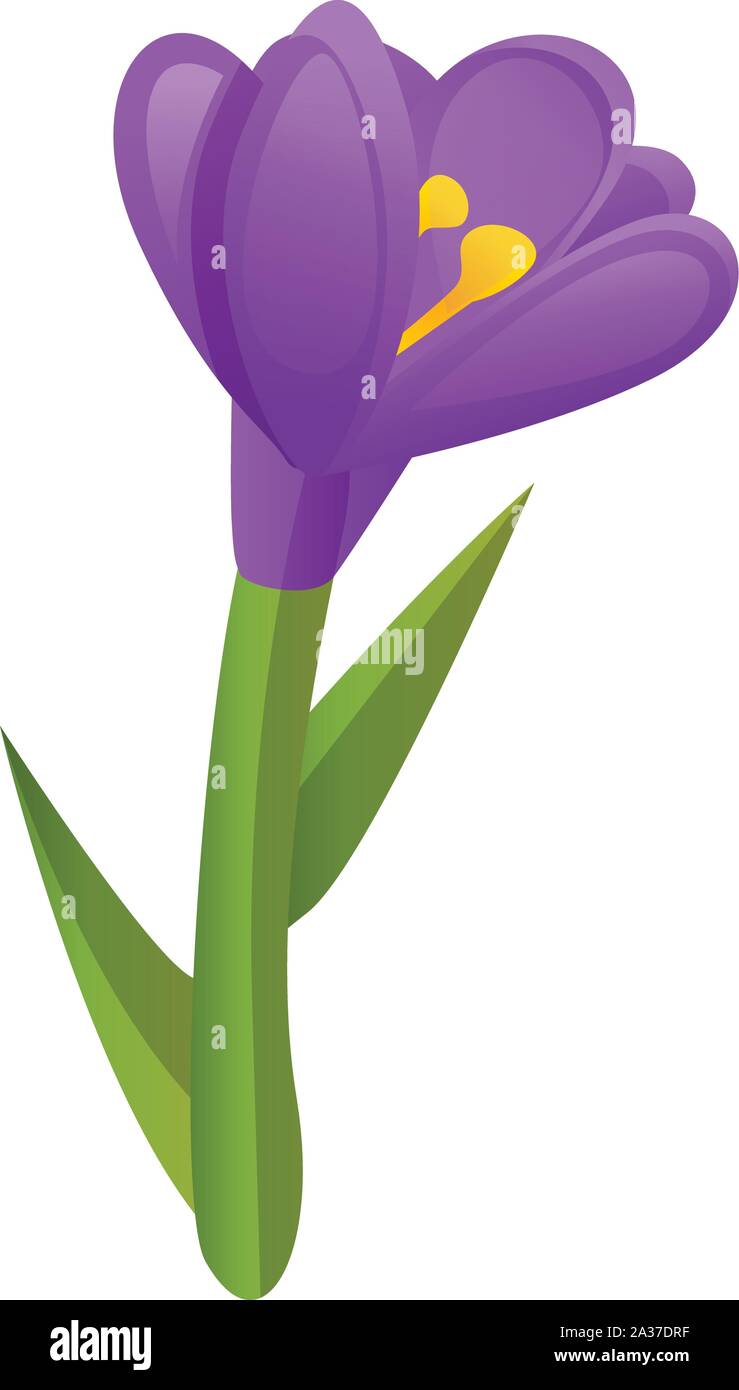 Crocus flower icon. Cartoon of crocus flower vector icon for web design ...