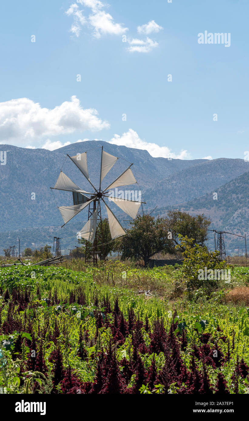 Lasithi Plateau, Eastern Crete, Greece. September 2019. Windmill ...