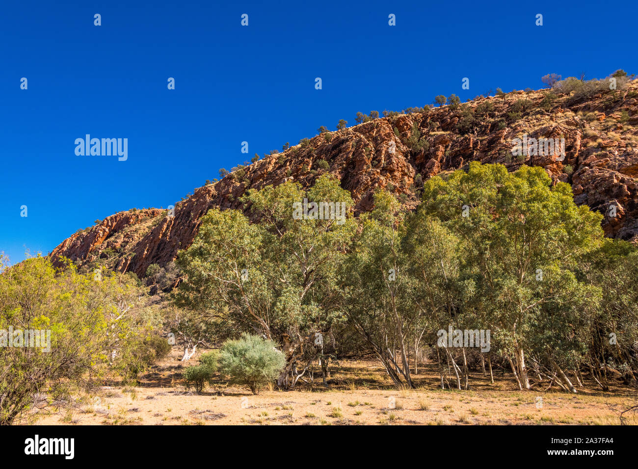 Sacred emily hi-res stock photography and images - Alamy