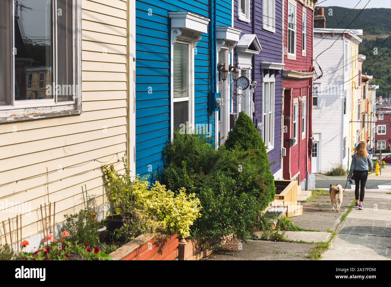 Traditional house in St John's downtown, Newfoundland, Canada Stock ...