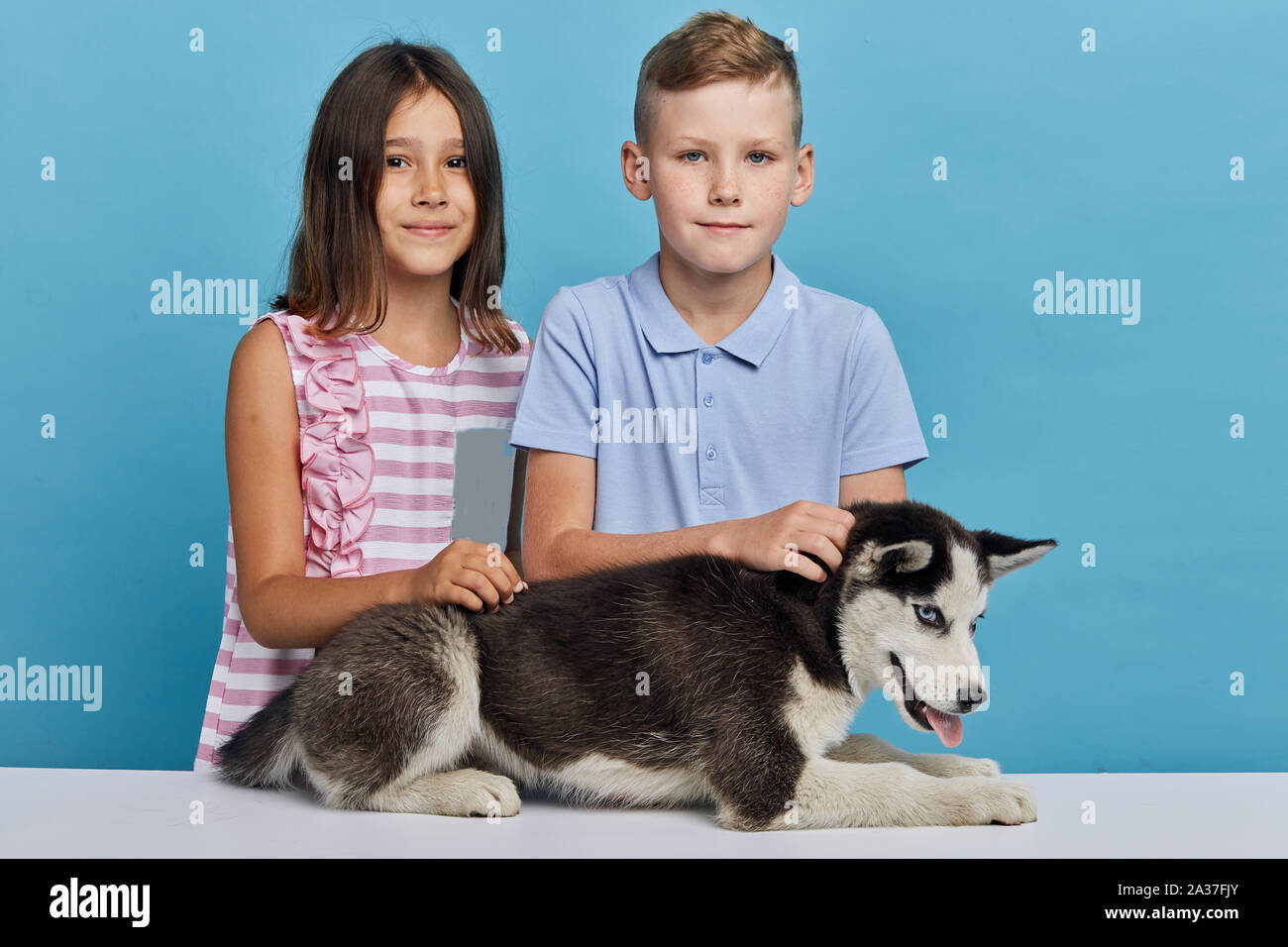 Siberian husky playing with kids hi-res stock photography and images ...