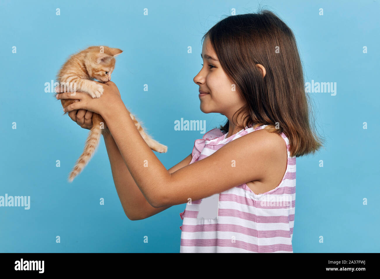 attractive kind girl lifting her cat, loves it, adores pet, close up ...