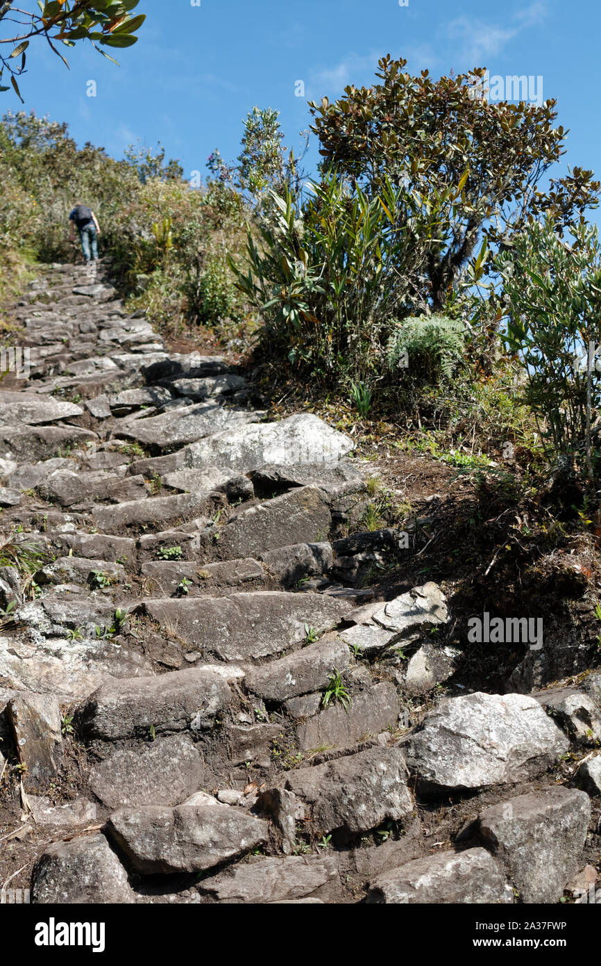 Climbing the Machu Picchu mountain Stock Photo - Alamy