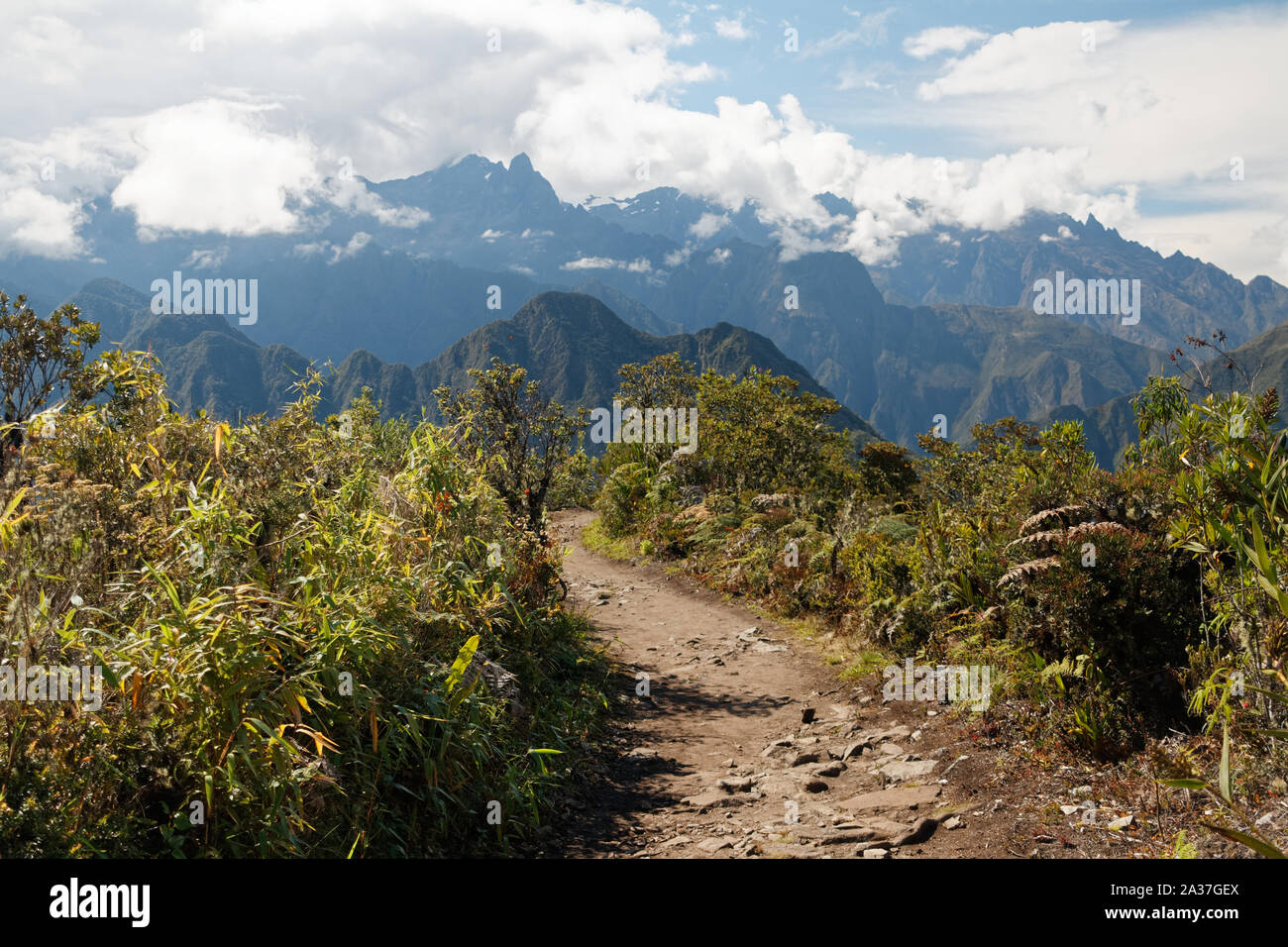 Climbing the Machu Picchu mountain Stock Photo - Alamy