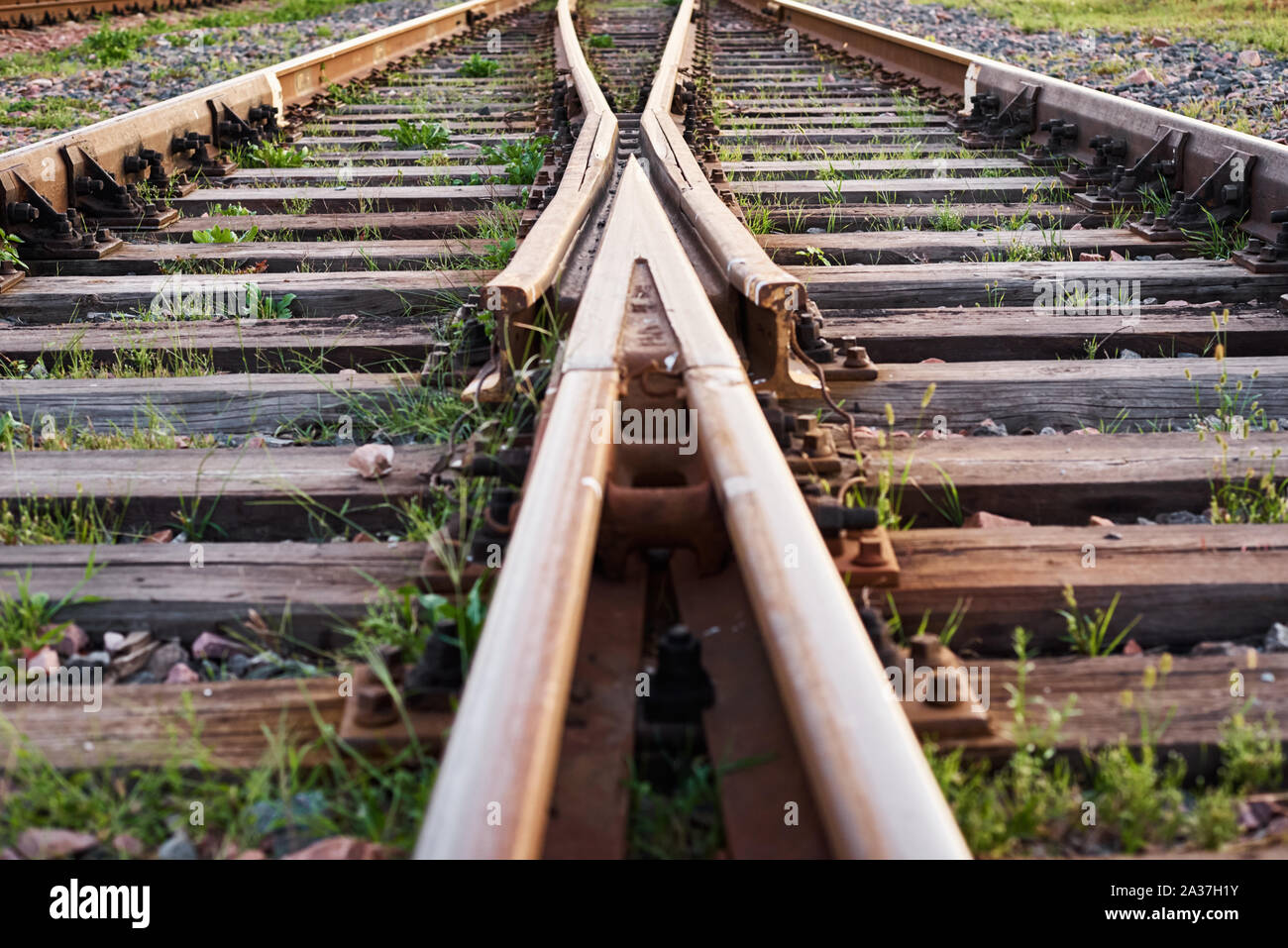 Merge together hi-res stock photography and images - Alamy
