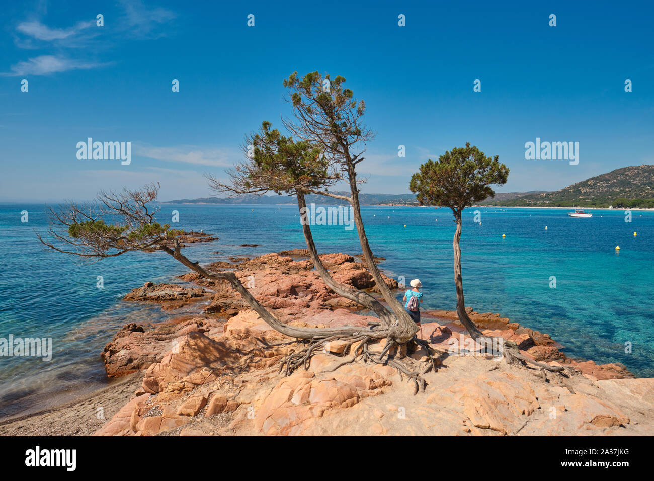The red rocks of Palombaggia beach / Plage de Palombaggia a popular ...