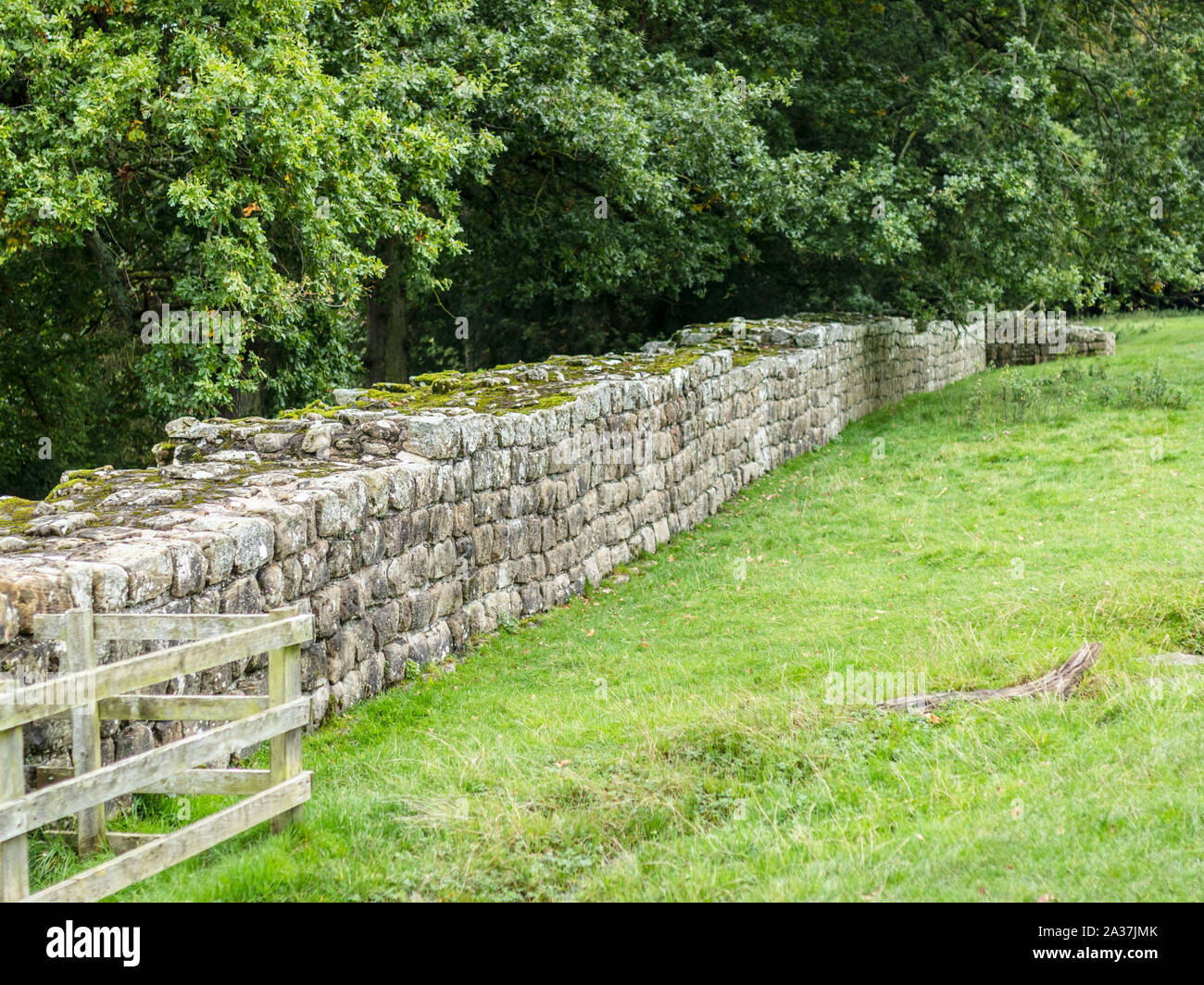 remains of Brunton Turret on Hadrians Wall northumberland UK Stock ...